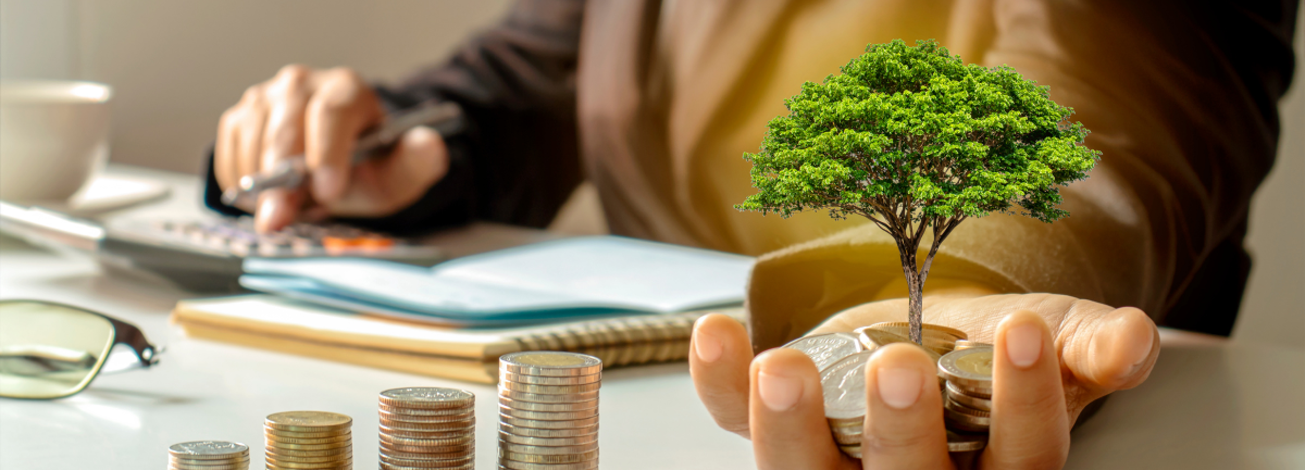 Government Help for Small Businesses | UMi Sat Nav